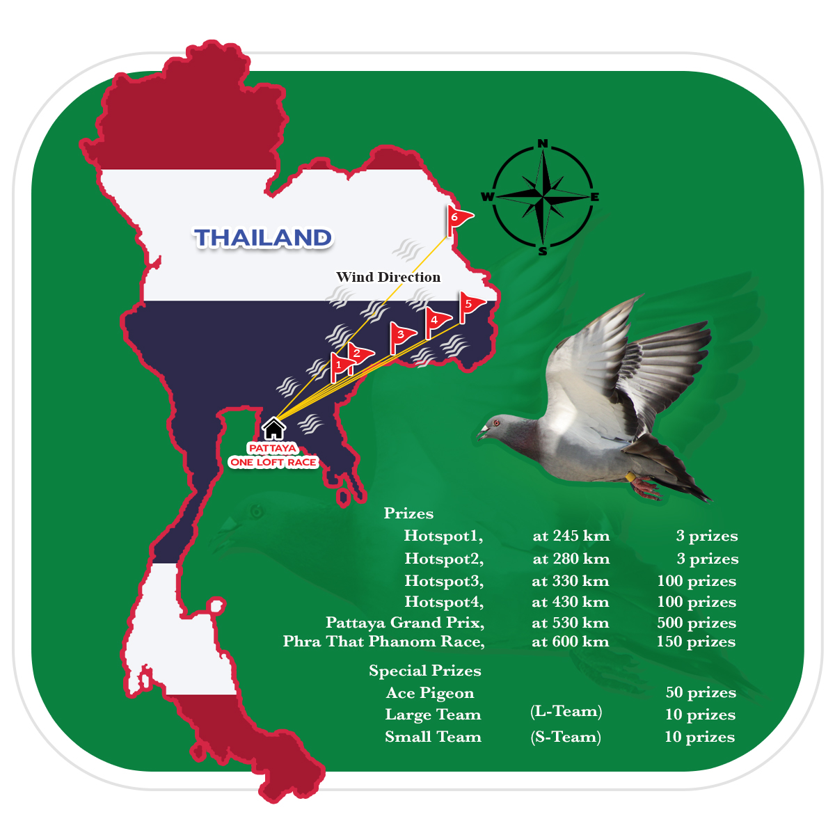 PATTAYA INTERNATIONAL PIGEON RACE