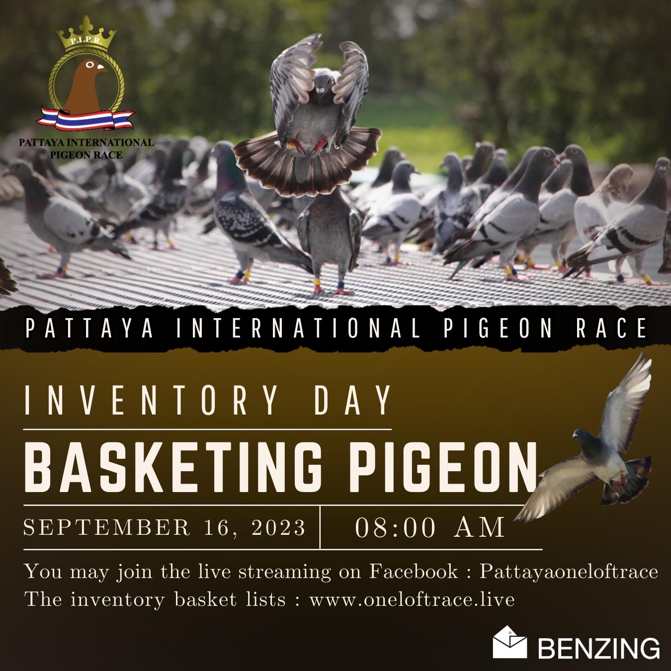 PATTAYA INTERNATIONAL PIGEON RACE
